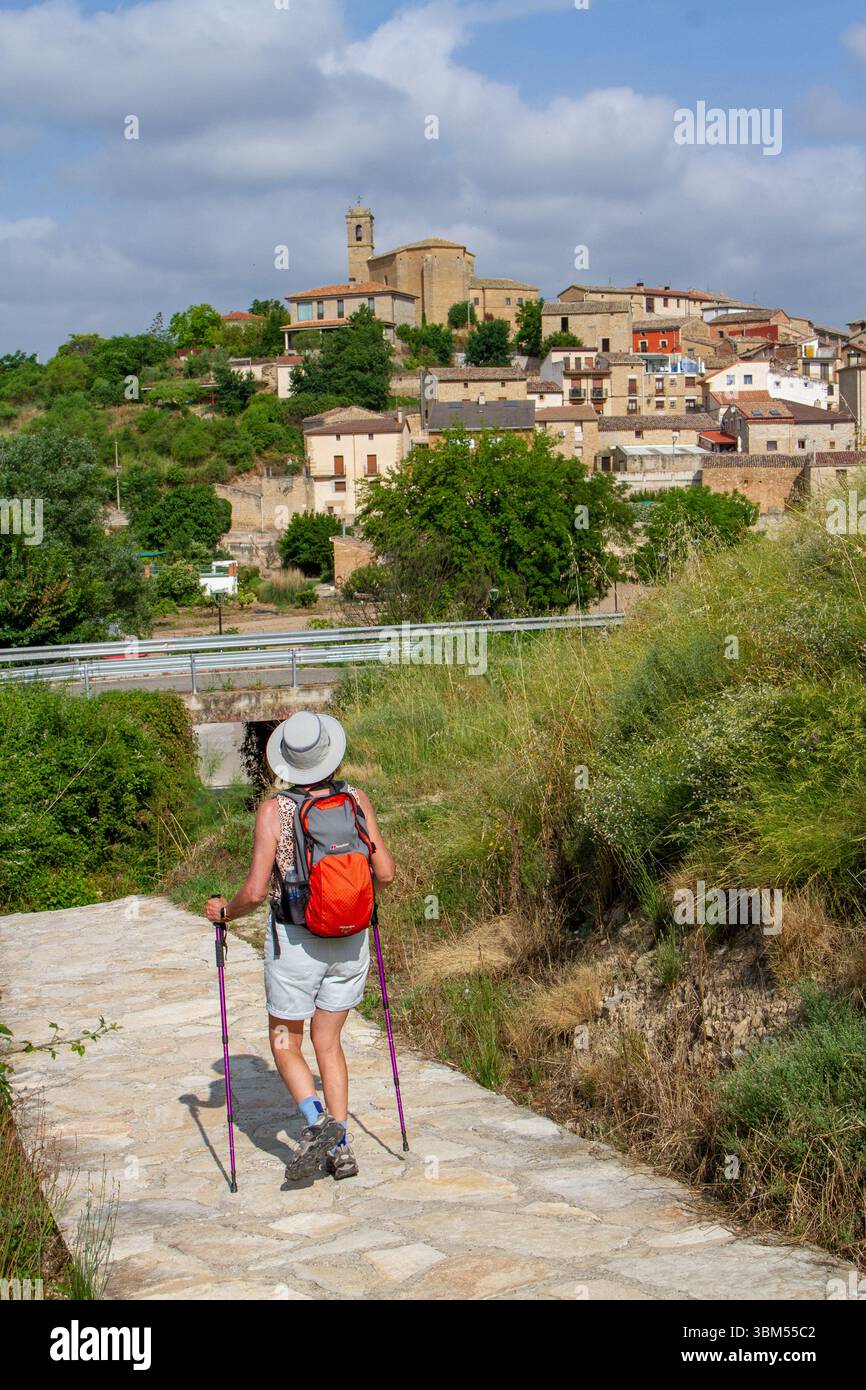 Pilgrim woman walking the Camino de Santiago the way of St James ...