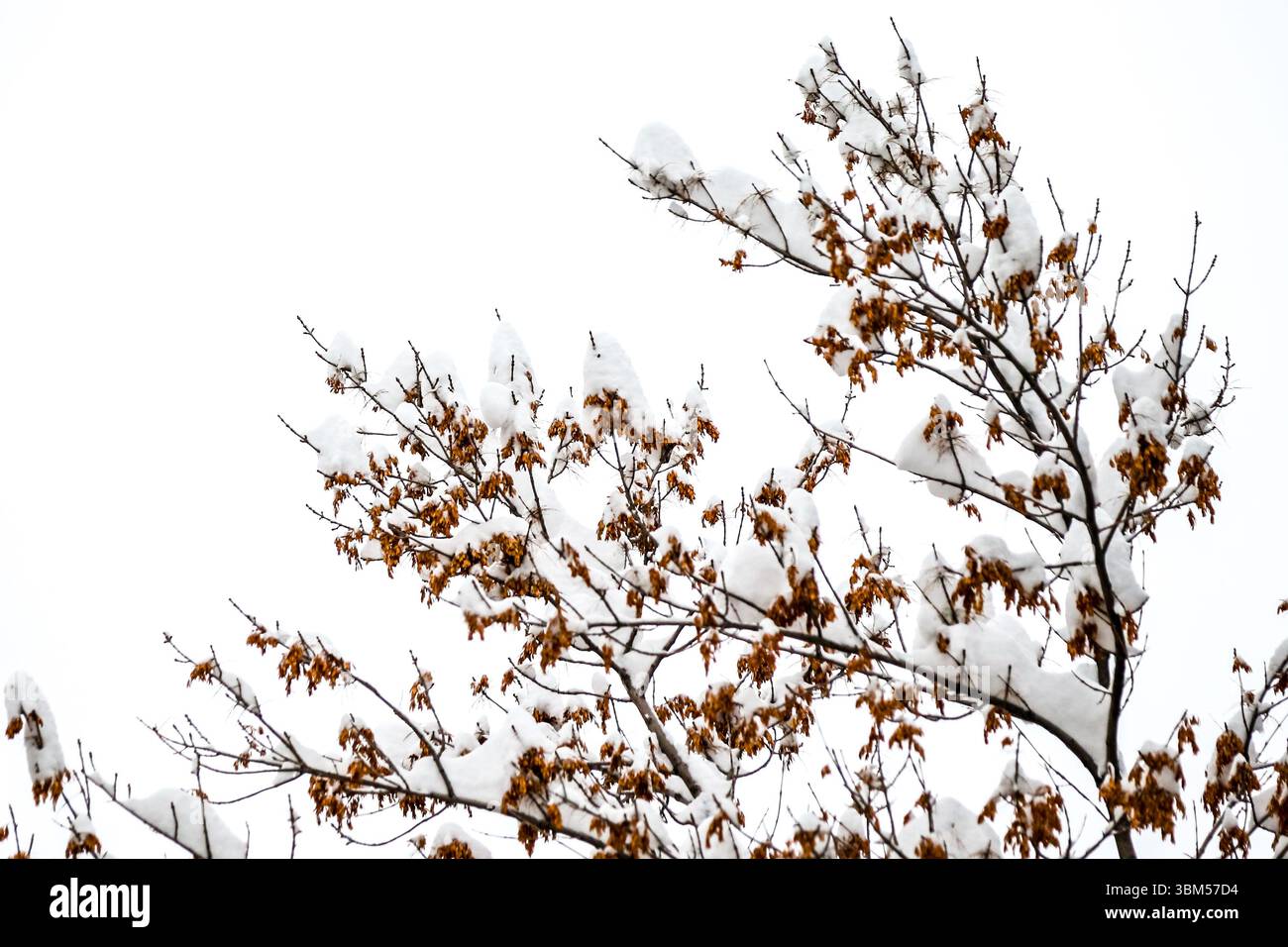 Landscapes of Calgary along the Elbow River pathways after a heavy ...