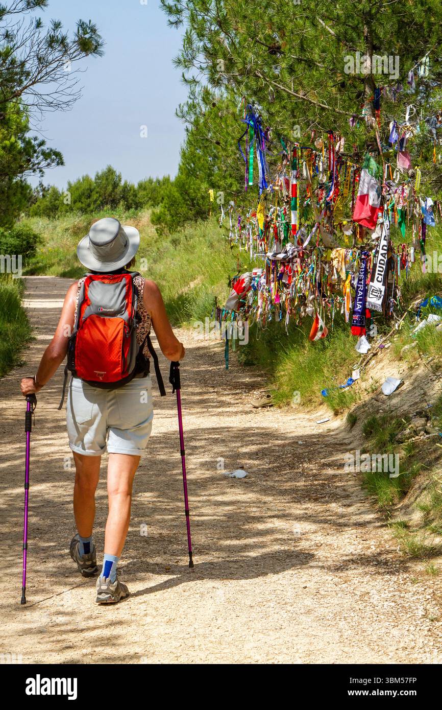 Woman walking the Camino de Santiago the way of Saint James through ...