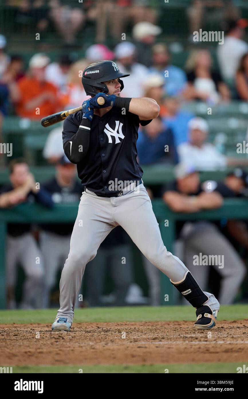 New York Yankees Jesus Rodriguez (65) bats during an MLB Spring ...