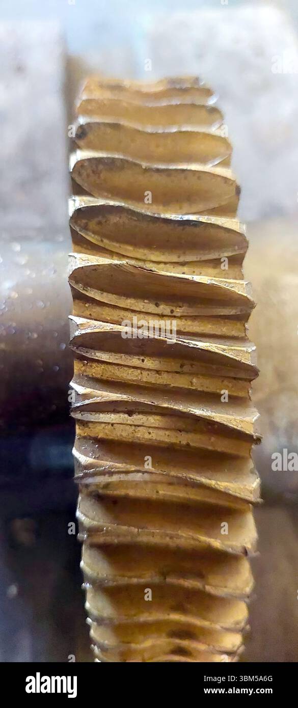 Close-up of a bronze worm gear wheel, highlighting its unique ridged ...