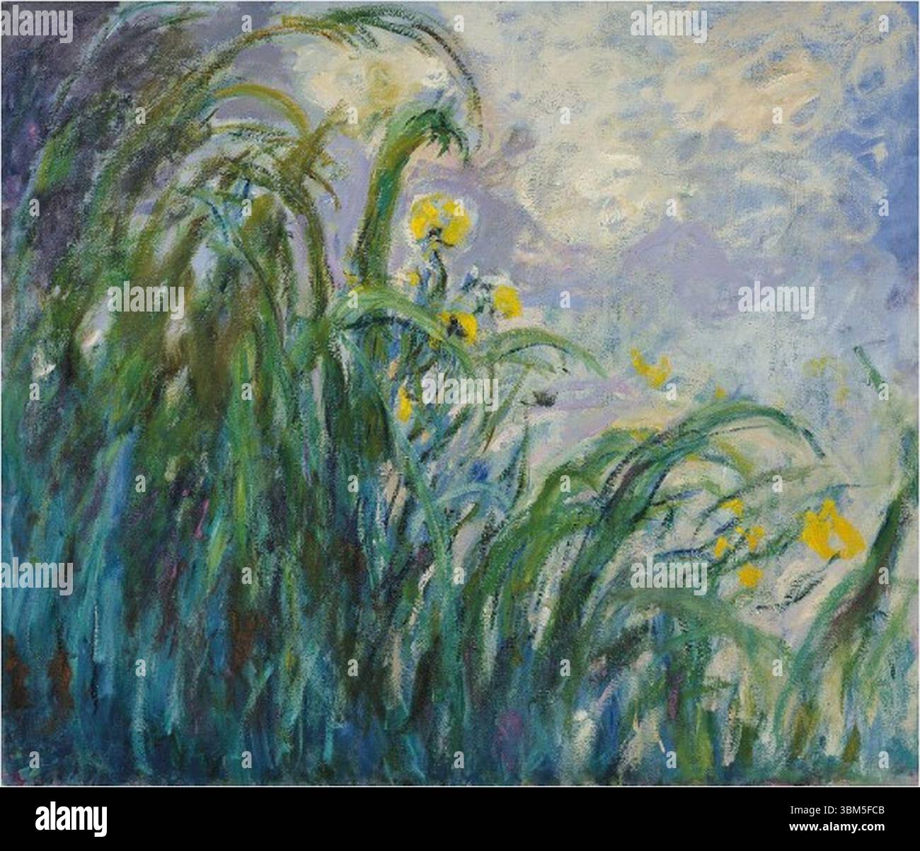 Les iris jaunes (1924-1925) Claude Monet Stock Photo - Alamy