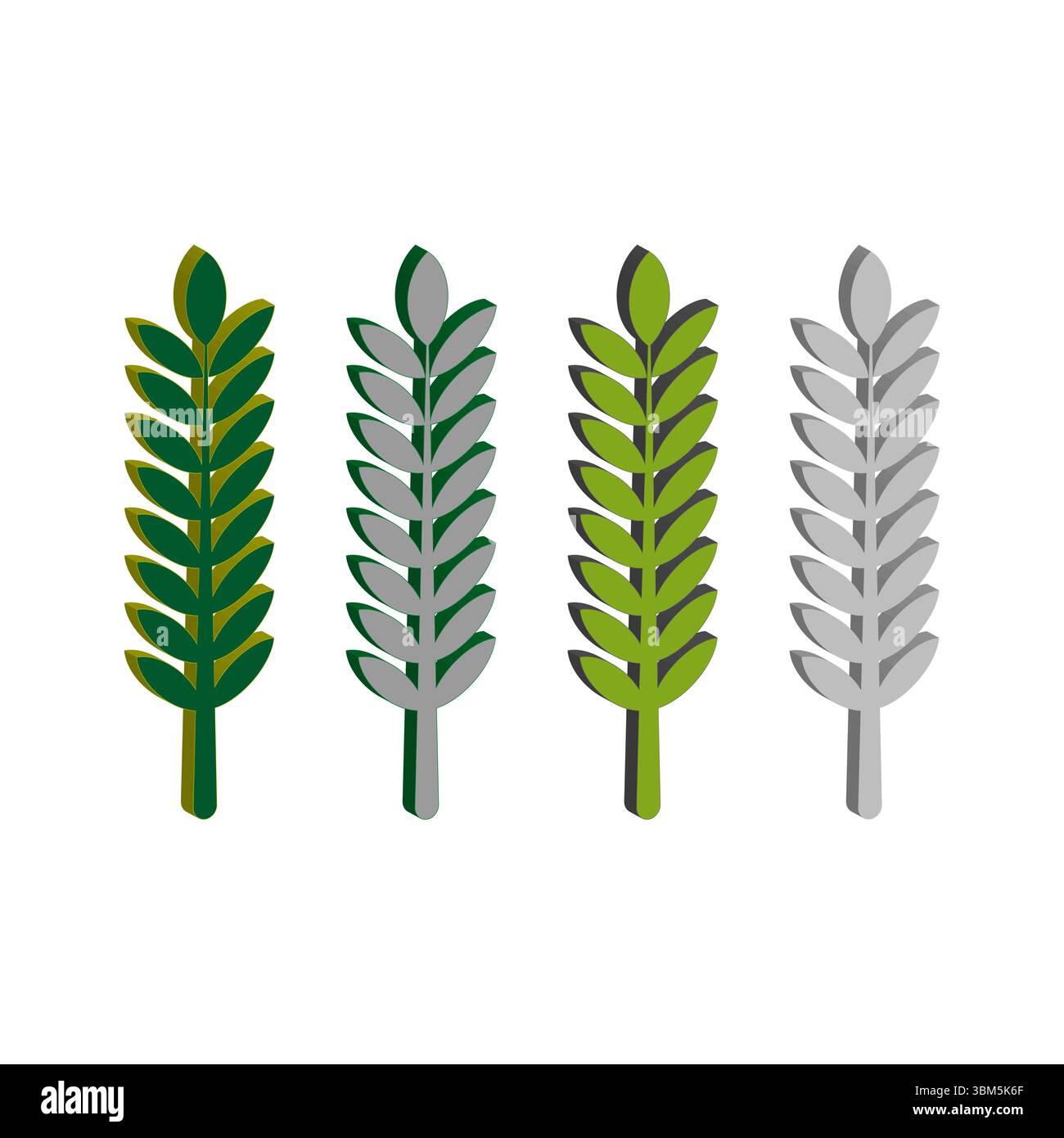 Cereal crop ear green field agriculture agricultural cultivation Stock ...