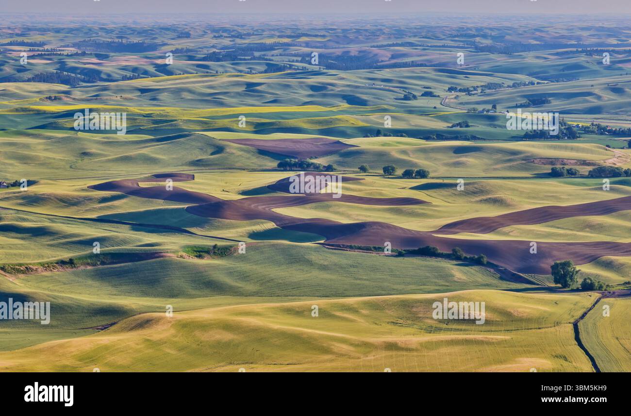 USA, Washington State. Rolling wheat fields from Steptoe Butte State ...