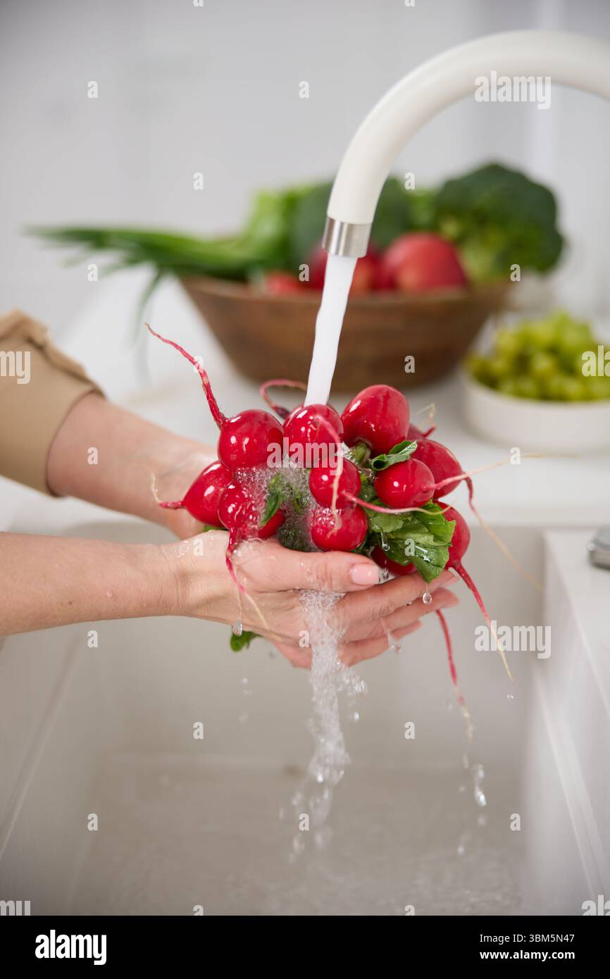 Hands wash radish under water hi-res stock photography and images - Alamy
