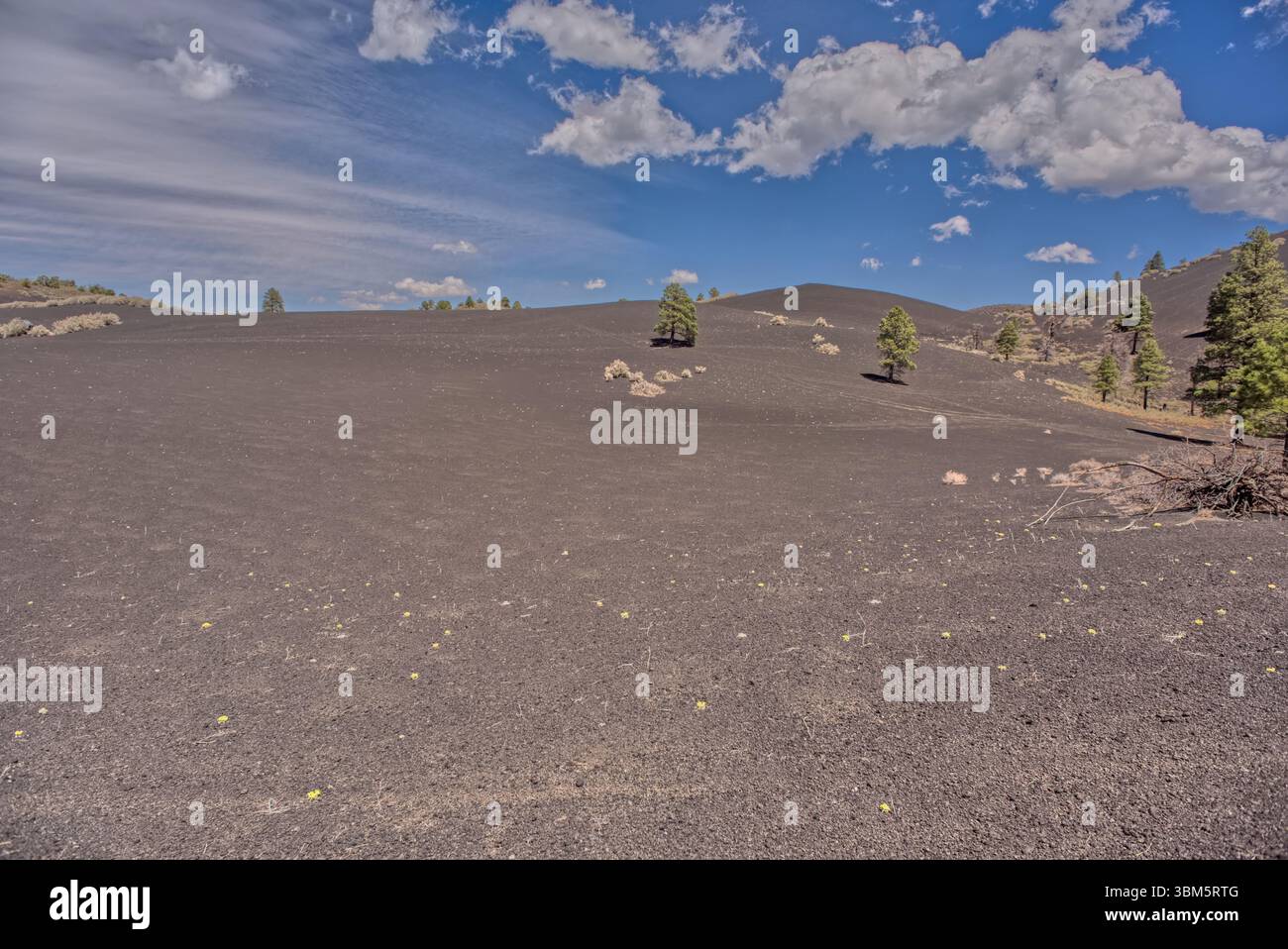 Volcanic cinder hills in Coconino National Forest near Sunset Crater ...