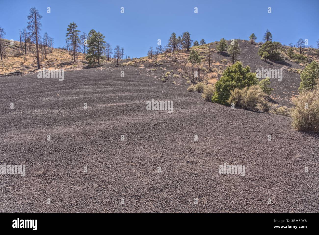 Volcanic cinder hills in Coconino National Forest near Sunset Crater ...