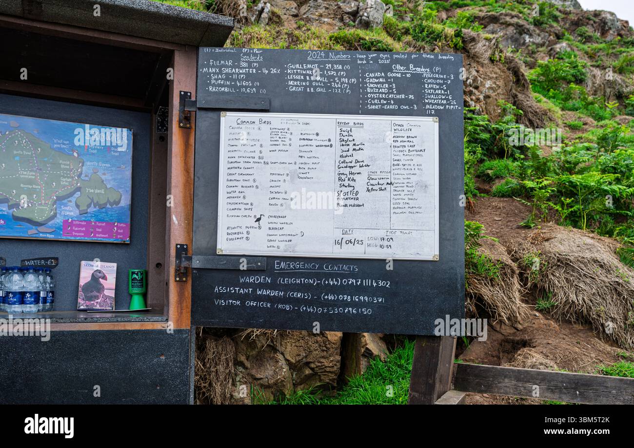 Hand-written whiteboard information sign on Skomer Island ...
