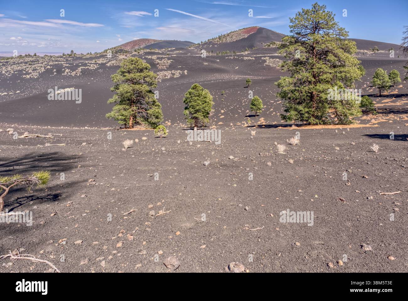Volcanic cinder hills in Coconino National Forest near Sunset Crater ...