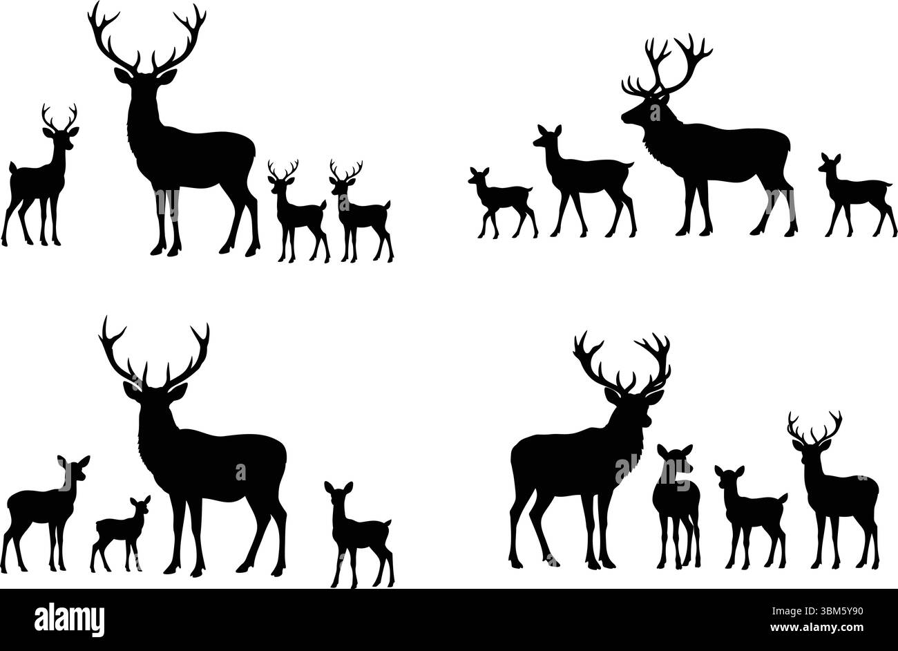 Woodland creature vector vectors Stock Vector Images - Alamy