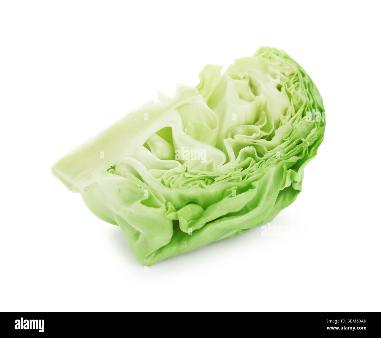 Head early cabbage on Cut Out Stock Images & Pictures - Alamy