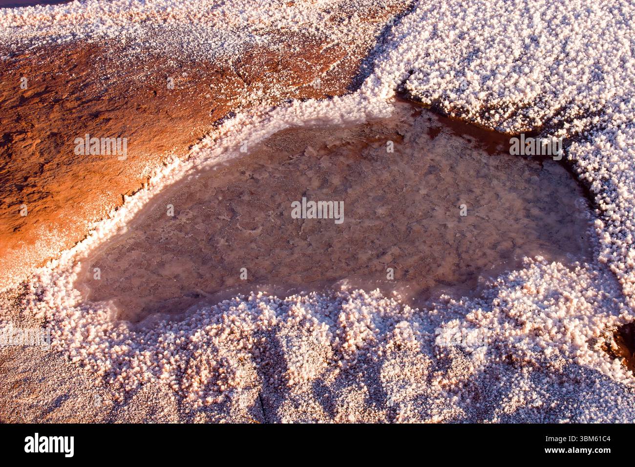 Potassium and salt crystals forming along the edge of a mineral seep ...