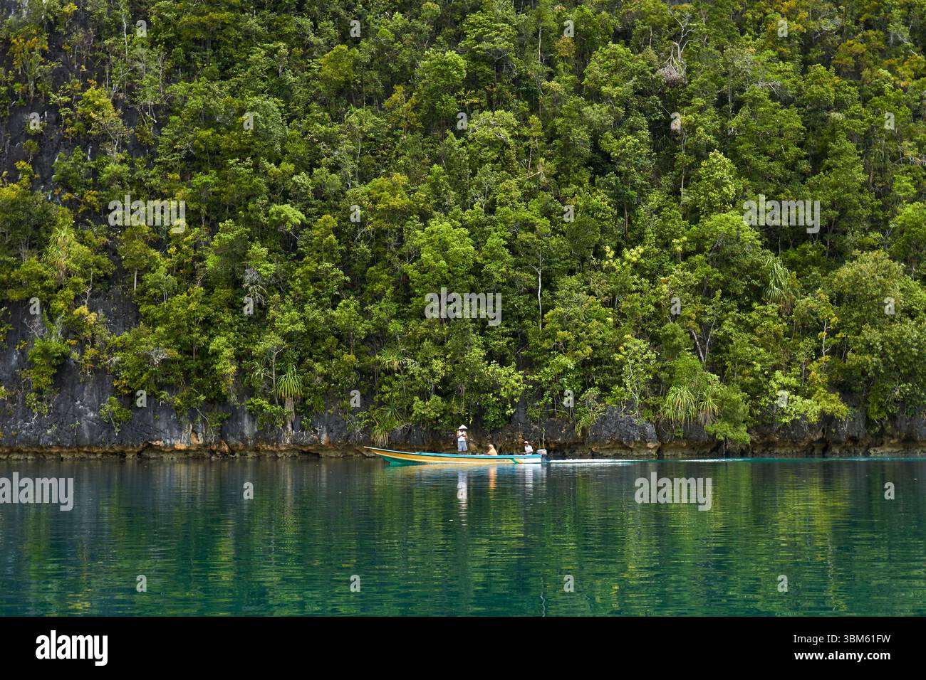 Tropical jungle, longboat, and reflection, inner archipelago, Misool ...