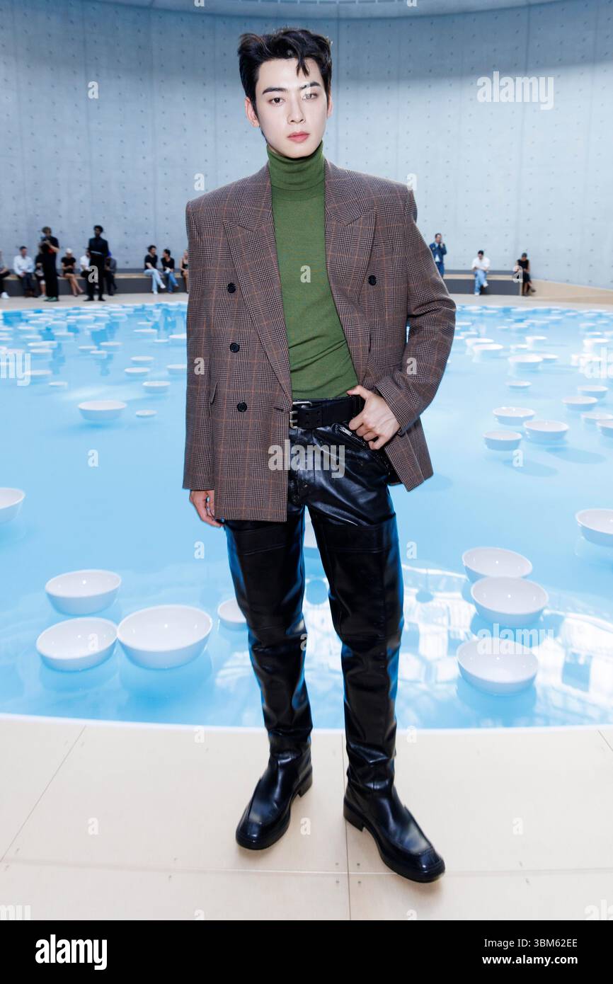 Paris, Frankreich. 24th June, 2025. Cha Eun-woo attends SAINT LAURENT ...