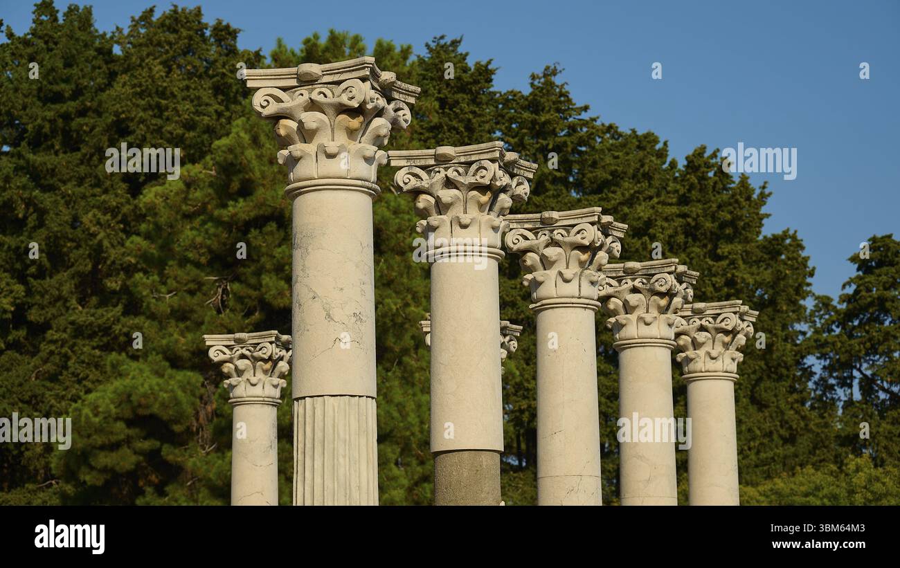 Ancient columns with ornate capitals against a backdrop of trees and ...