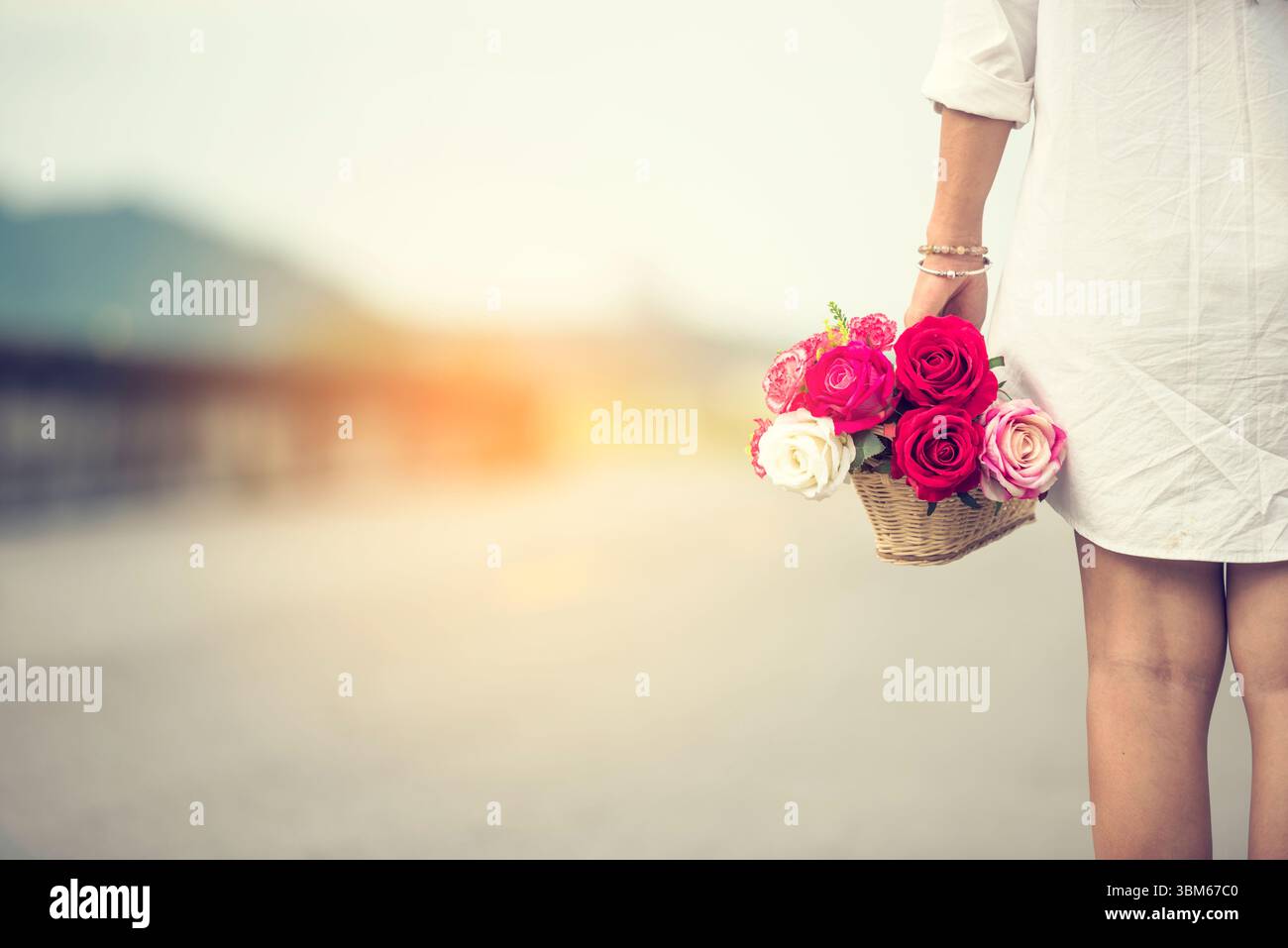 Woman hand holding rose flower hiding behind back side rear view to ...