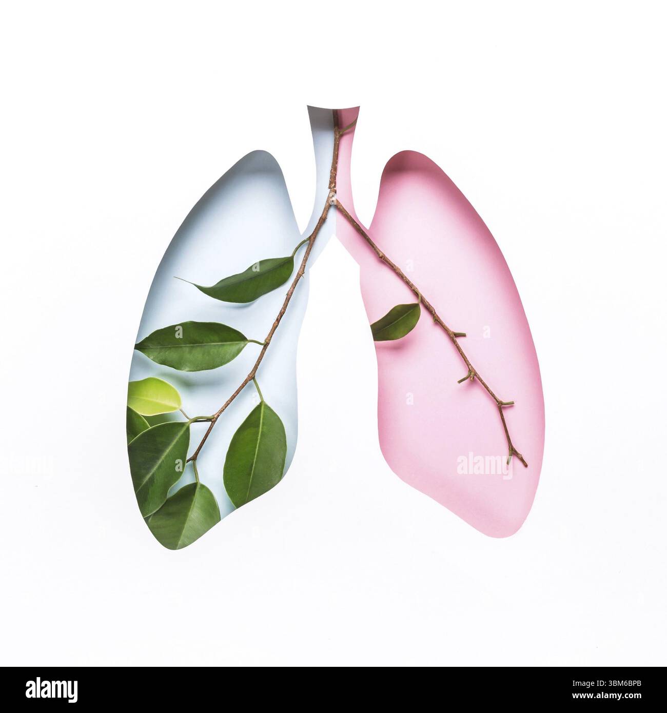 Hole Lungs and green twigs as symbol of healthy and sick lungs. World ...
