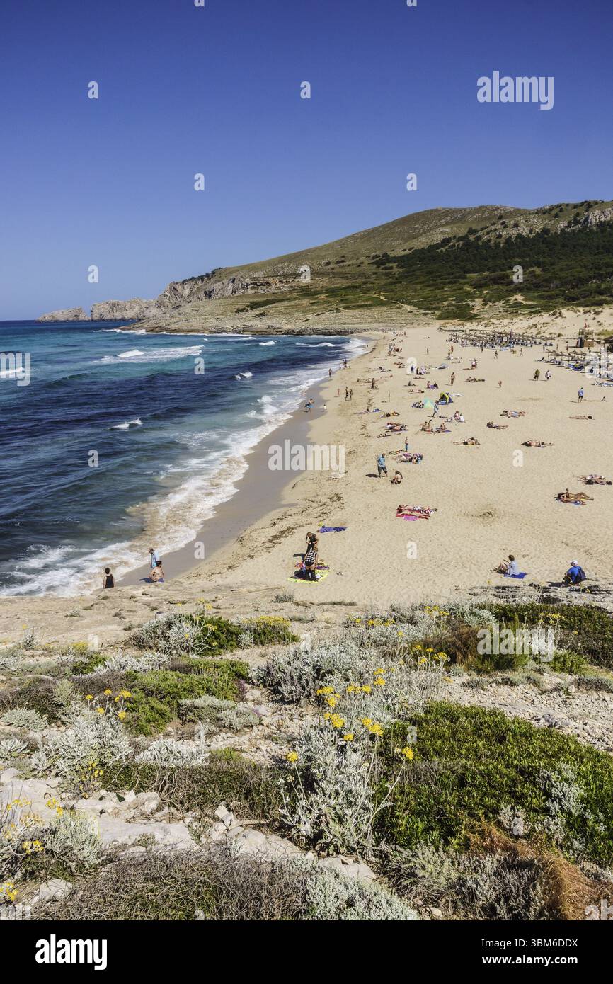 Cala Mesquida beach. Llevant Peninsula. Arta. Mallorca. Balearic ...