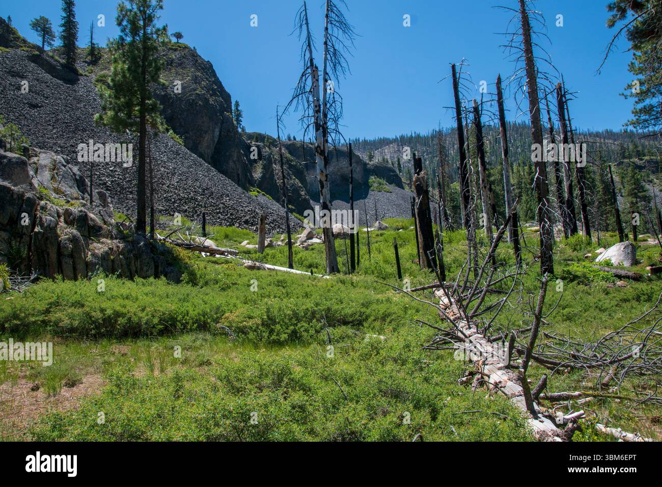 Columns of the Giants is a fascinating geological feature in the Sierra ...