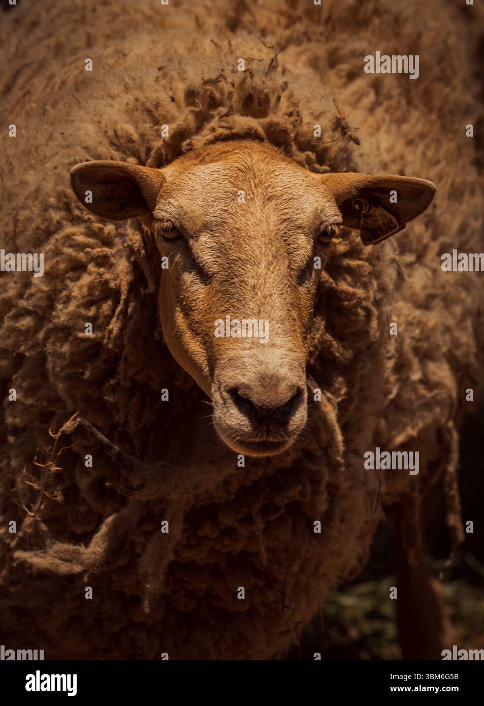 Part of a photo series celebrating the simplicity and beauty of ...