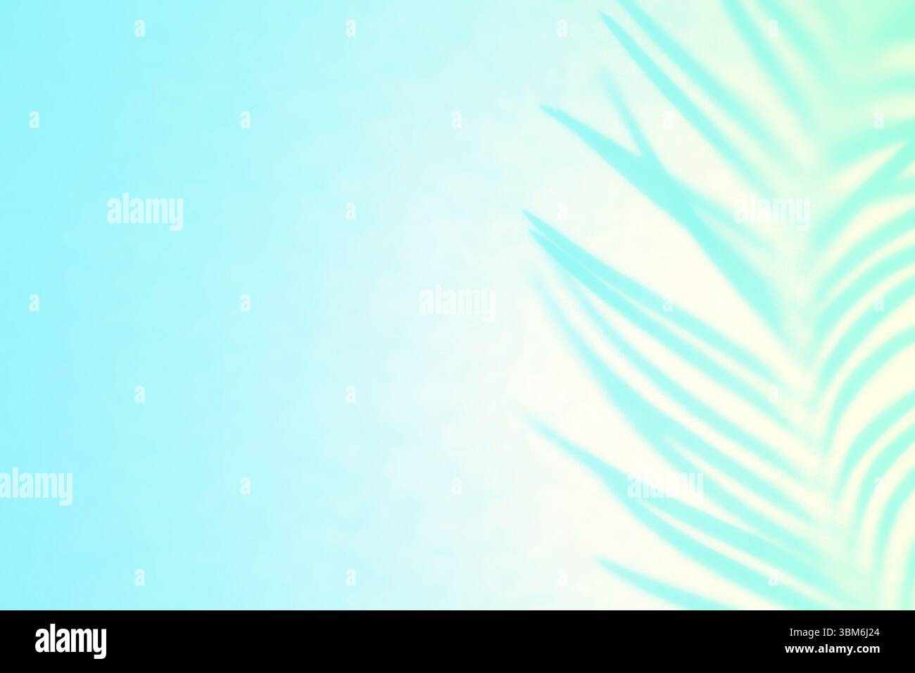 Shadow of palm leaf in mint green backlight. Gentle Abstract backdrop ...