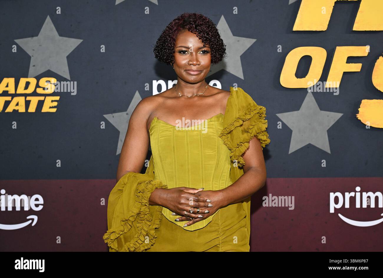 Sarah Niles attends the world premiere of "Heads of State" at Alice ...