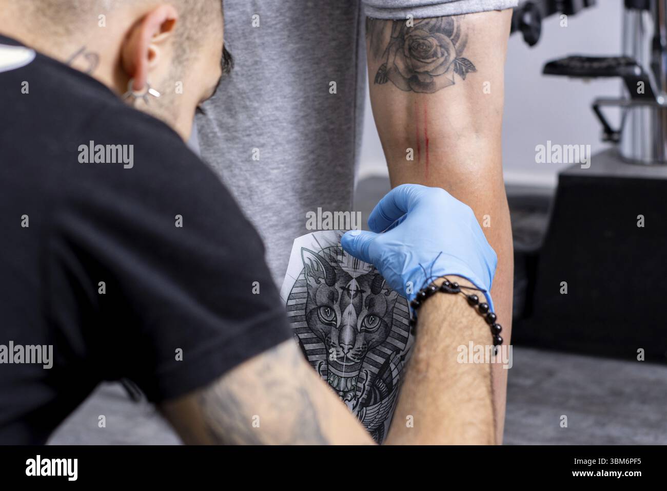 Tattoo artist putting the tracing paper from a client's leg ready to ...