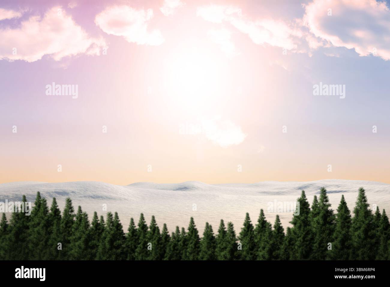 Fir tree forest in snowy land Stock Photo - Alamy