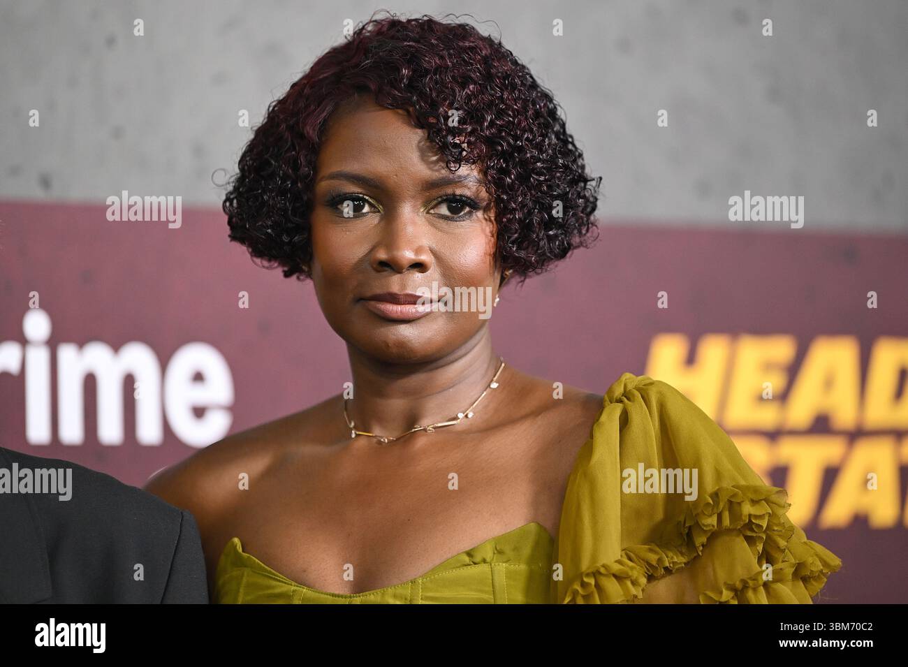 Sarah Niles attends Amazon's 'Heads of State' Premiere, at Alice Tully ...