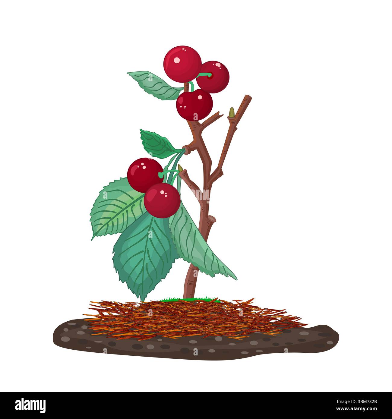 Bark protection Stock Vector Images - Alamy