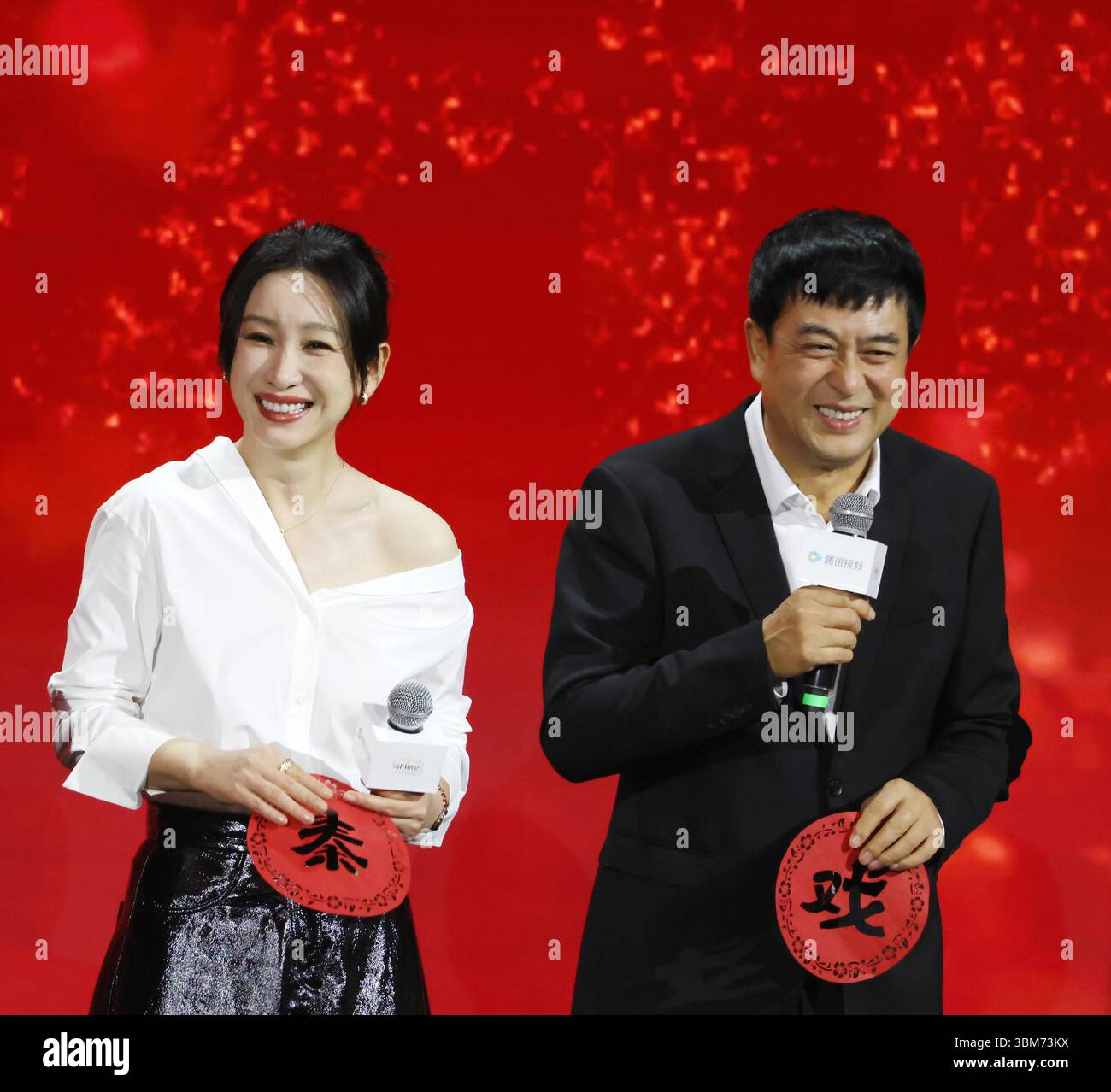 Chinese actress, screenwriter and singer Qin Hailu attends an activity ...