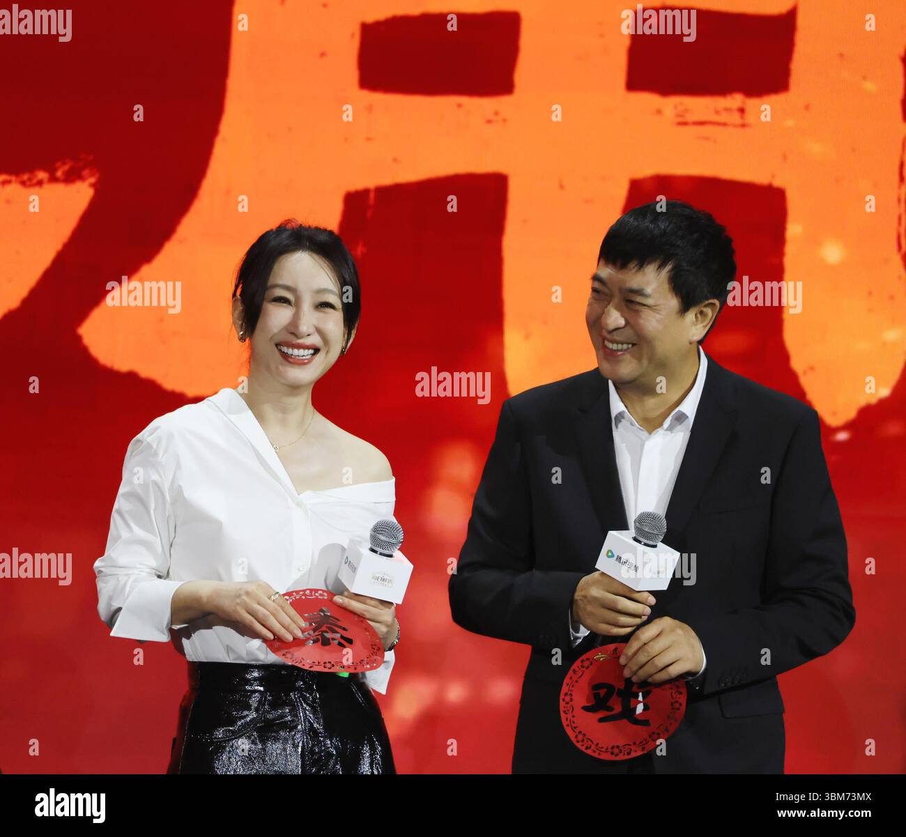 Chinese actress, screenwriter and singer Qin Hailu attends an activity ...