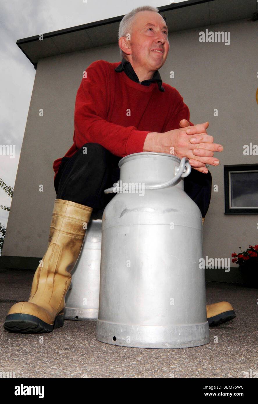 Fresh cow milk in milk cans on a dairy farm Milk cans on a dairy farm ...