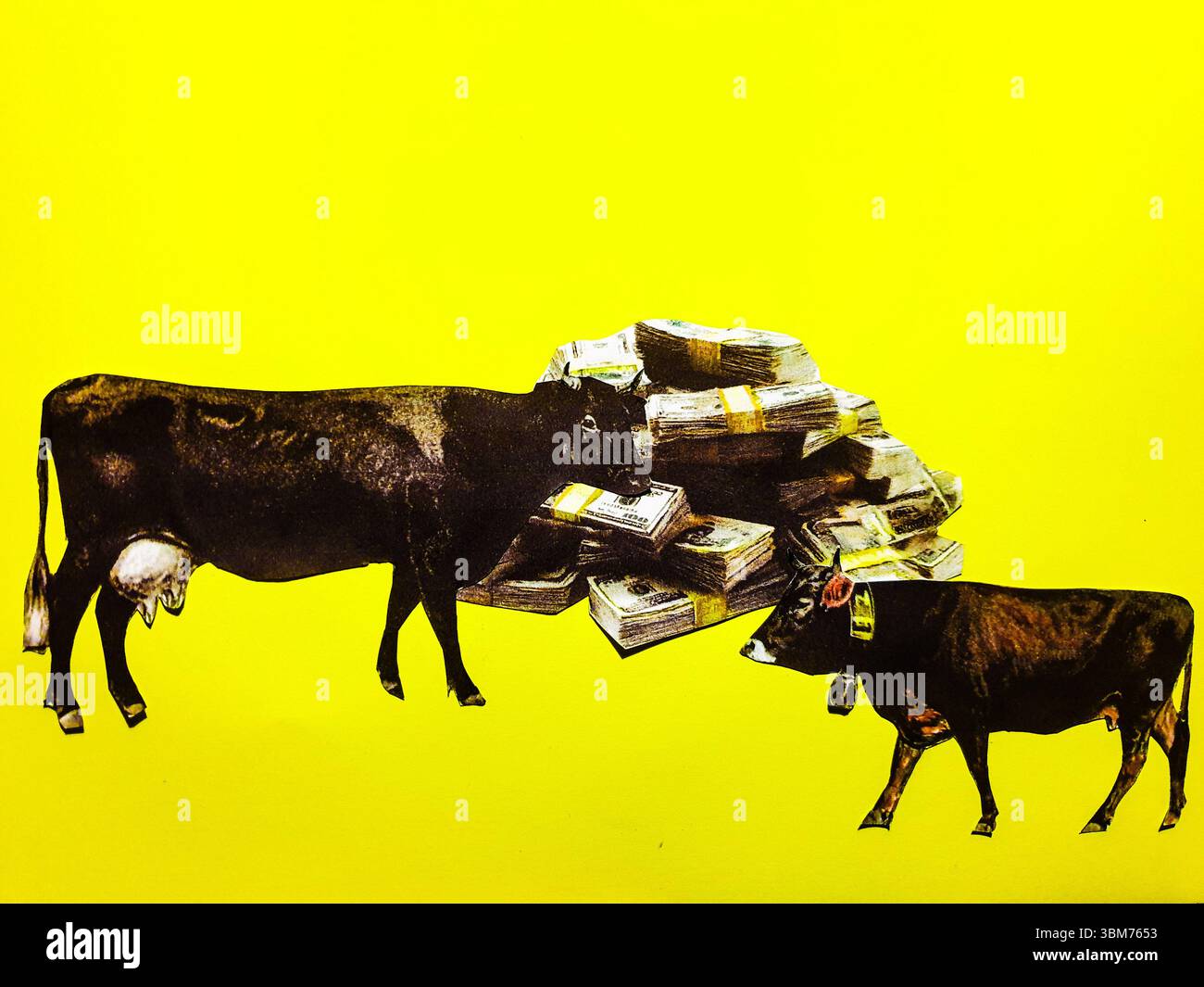 Collage symbolizing „Cash Cows“ Stock Photo - Alamy