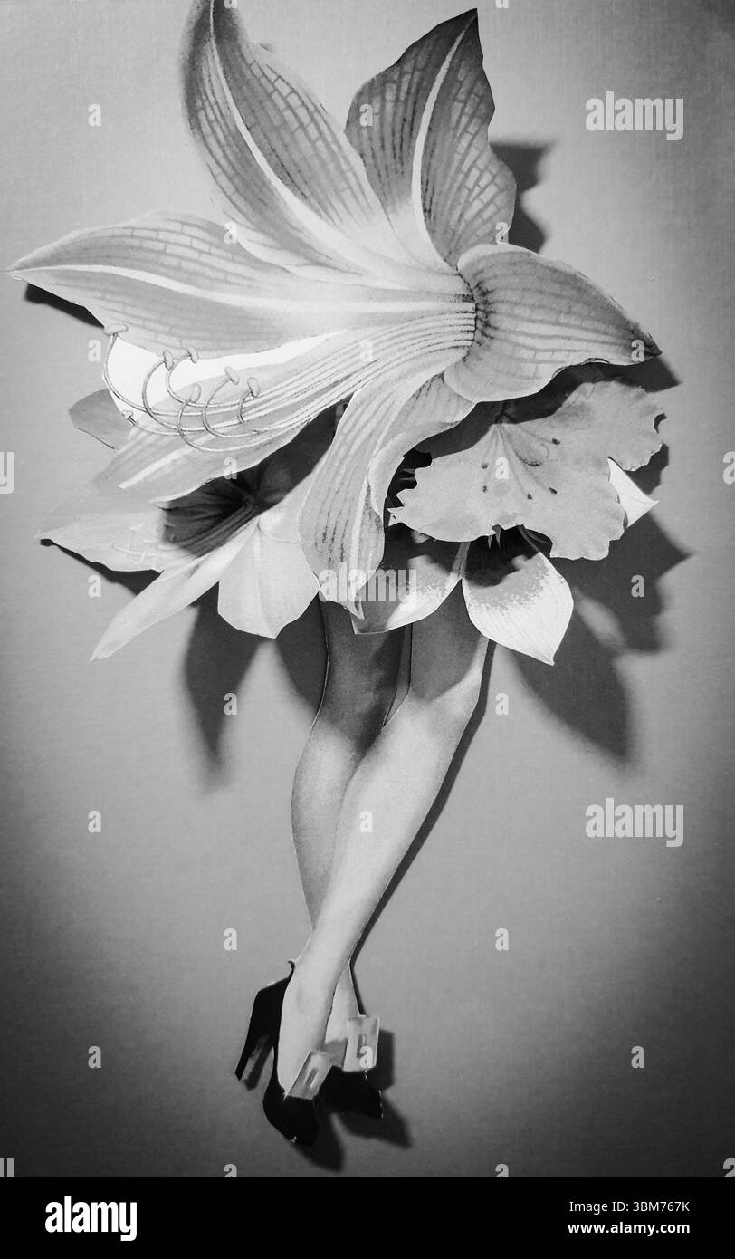 Behaviour head Black and White Stock Photos & Images - Alamy