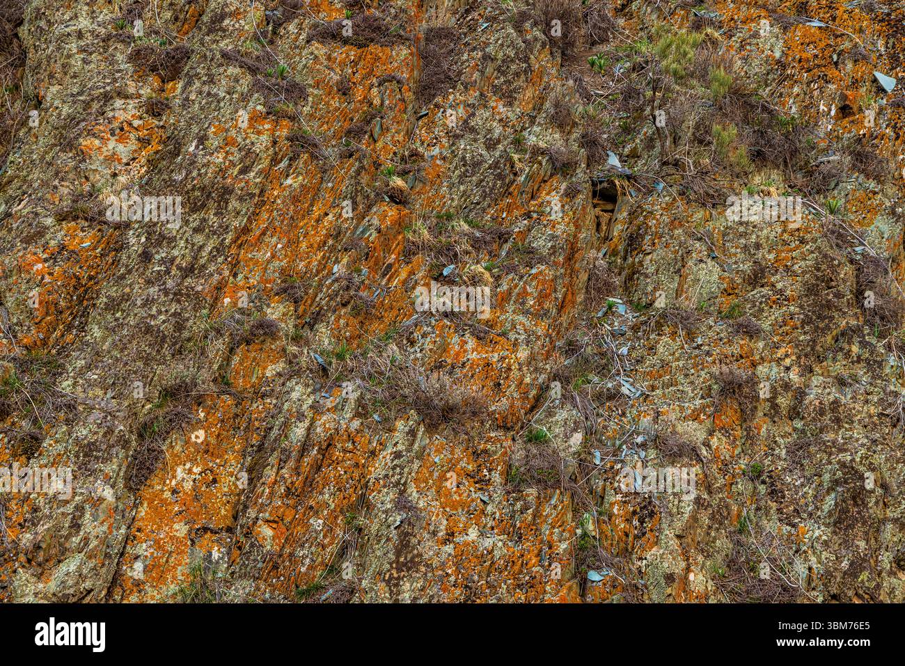 Rugged orange and grey rock formation with plants in crevices - full ...