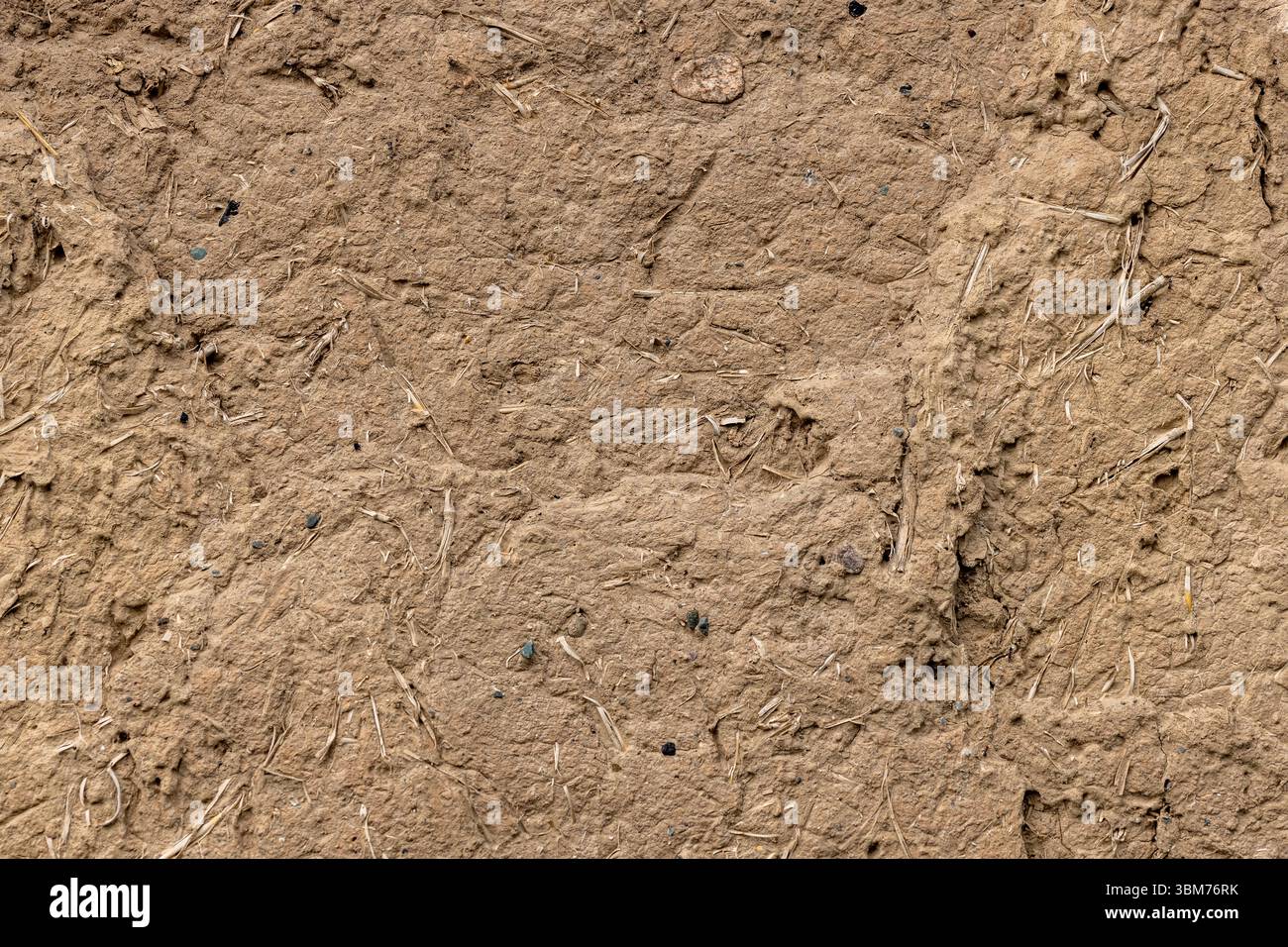 Rustic cob wall texture in outdoor setting during daytime Stock Photo ...