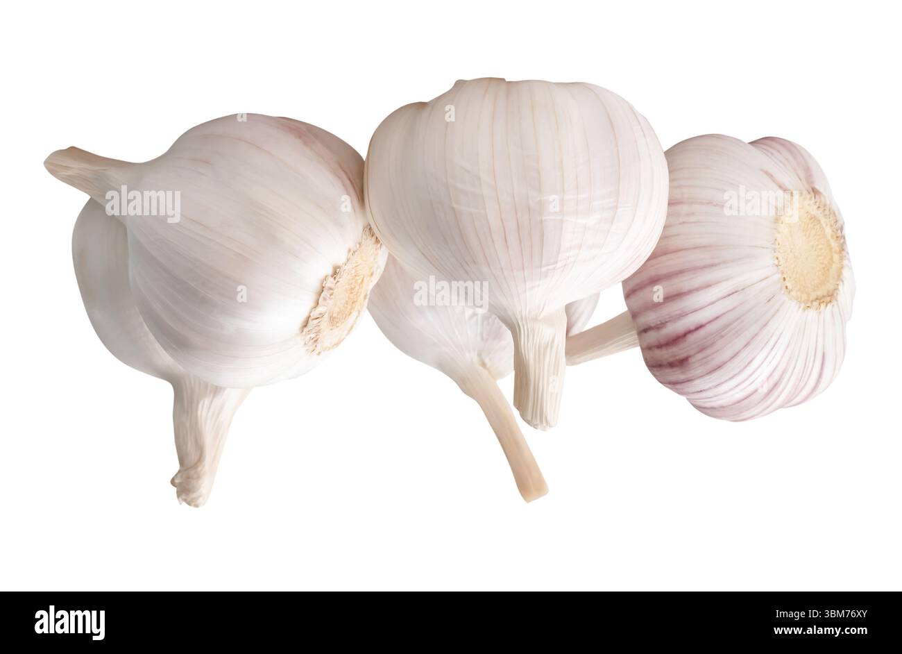 Side view of fives white garlic bulbs in stack is isolated on white ...