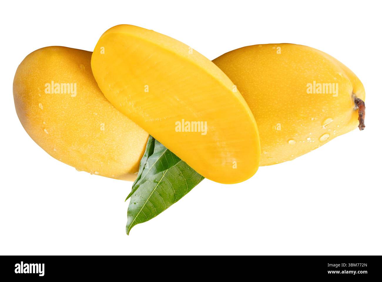 Two ripe yellow mango fruits and mango half with green leaves and water ...