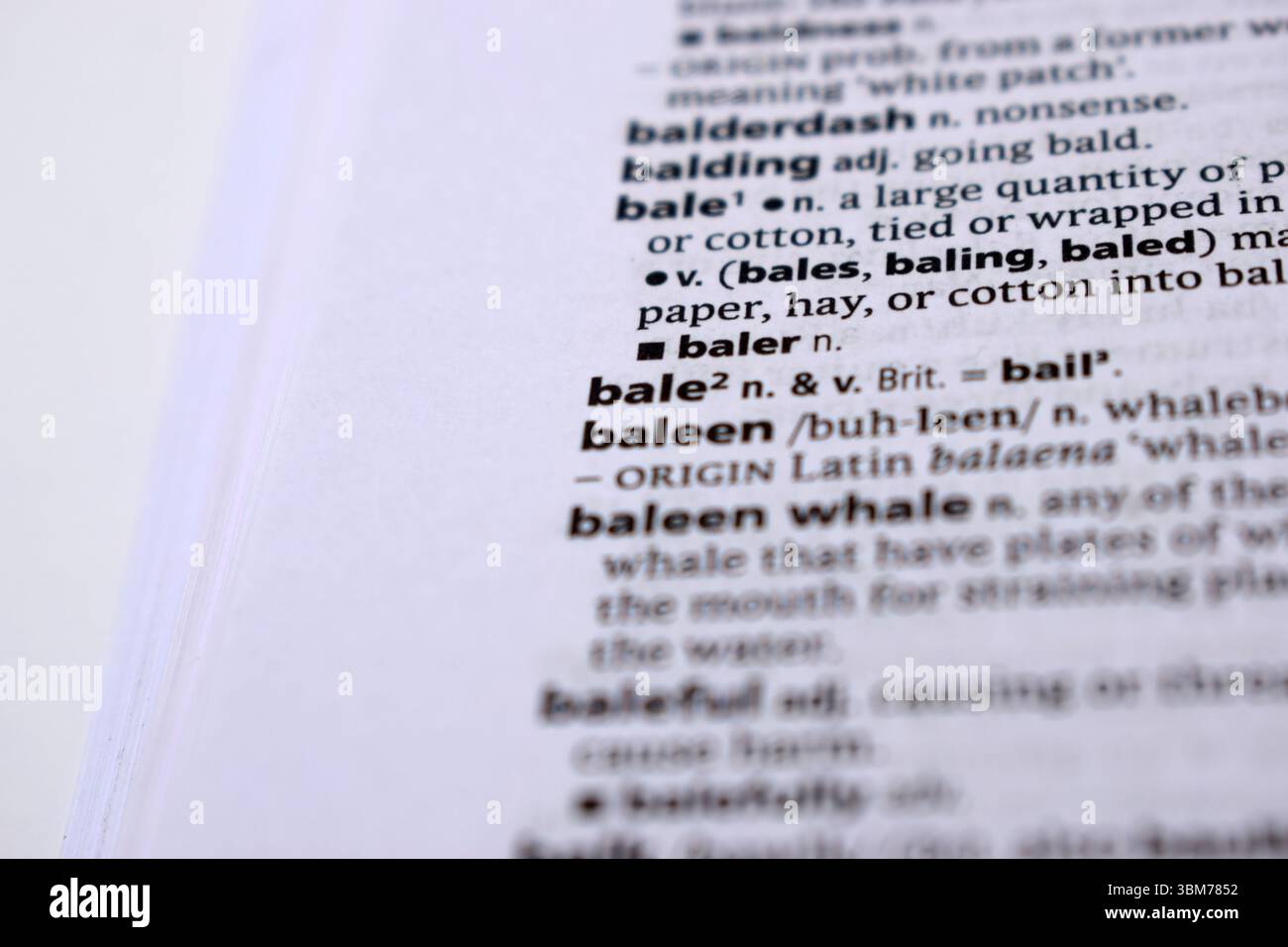 English Definition Dictionary Page Of Printed Word - Bale Close Up ...