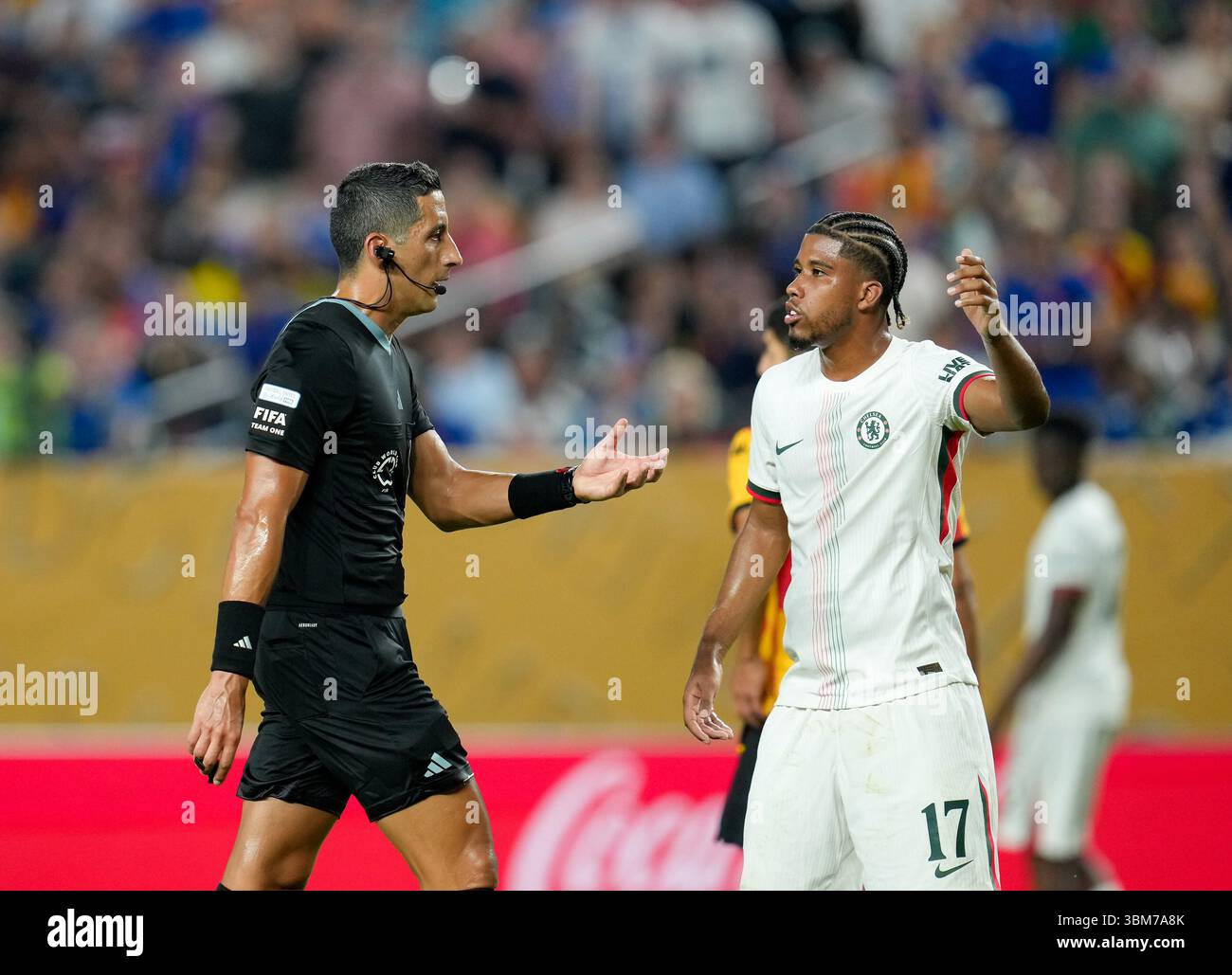 Yael falcon hi-res stock photography and images - Alamy