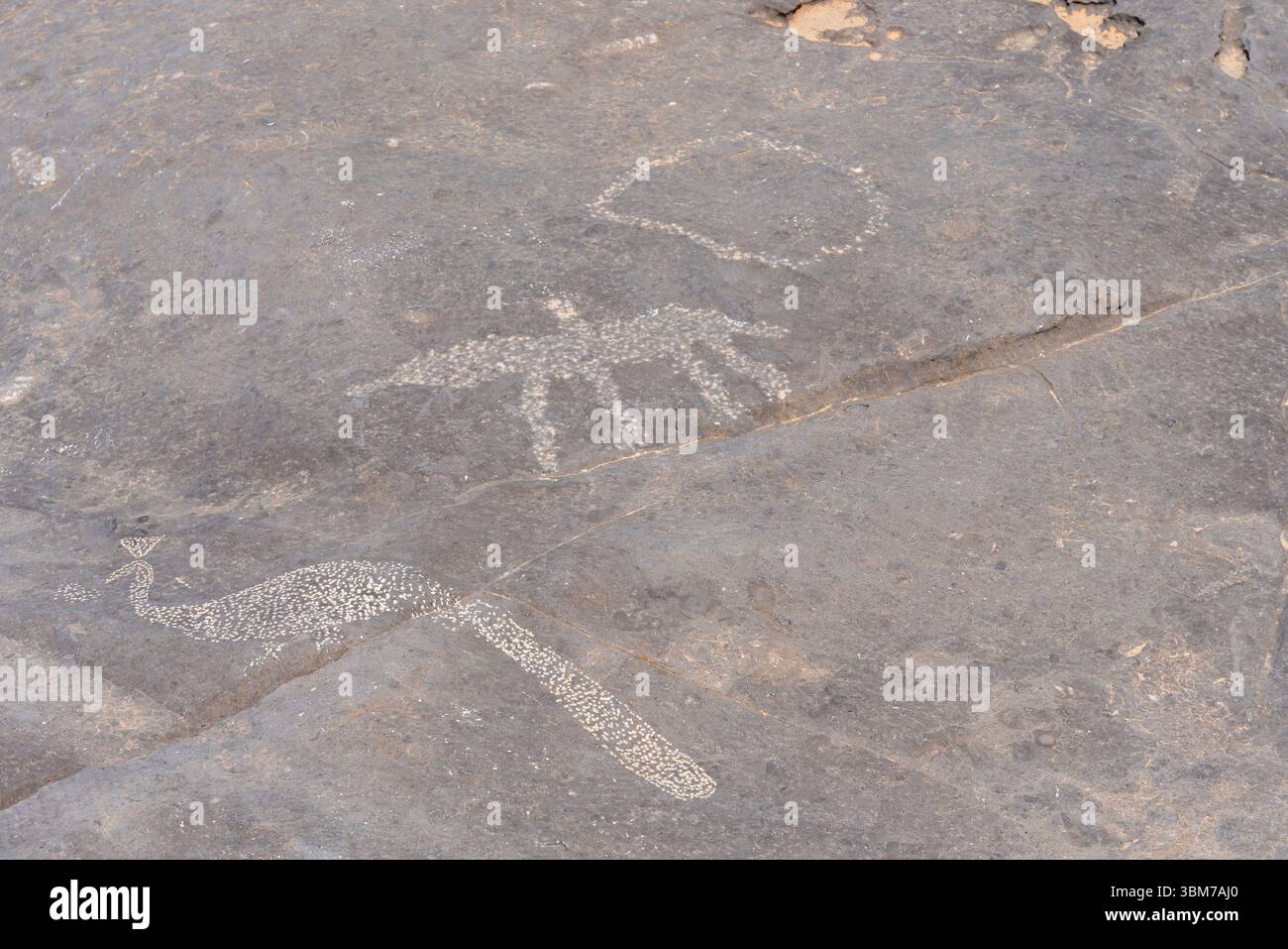 Rock face with ancient petroglyphs and carved symbols visible on ...