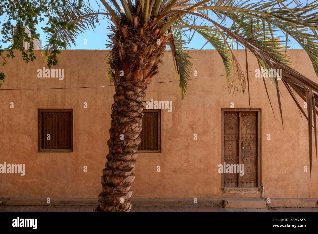 Courtyard with palm tree hi-res stock photography and images - Alamy