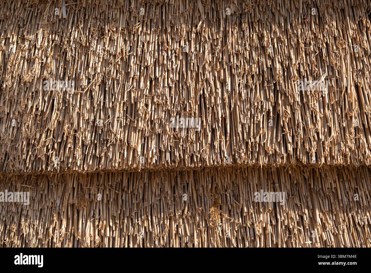 Close-up of a traditional thatched roof with tightly bound straw. The ...