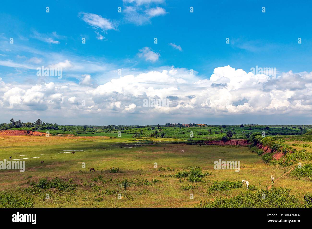 Expansive green pasture with grazing animals and gentle hills stretches ...