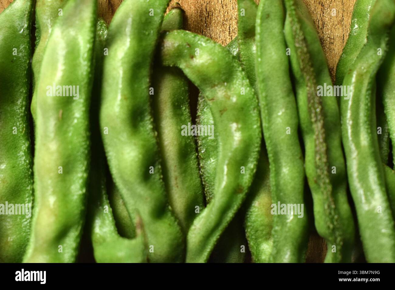 Group Of Hyacinth Bean or Same Ki Phalli Lablab Purpures, Also Known As ...