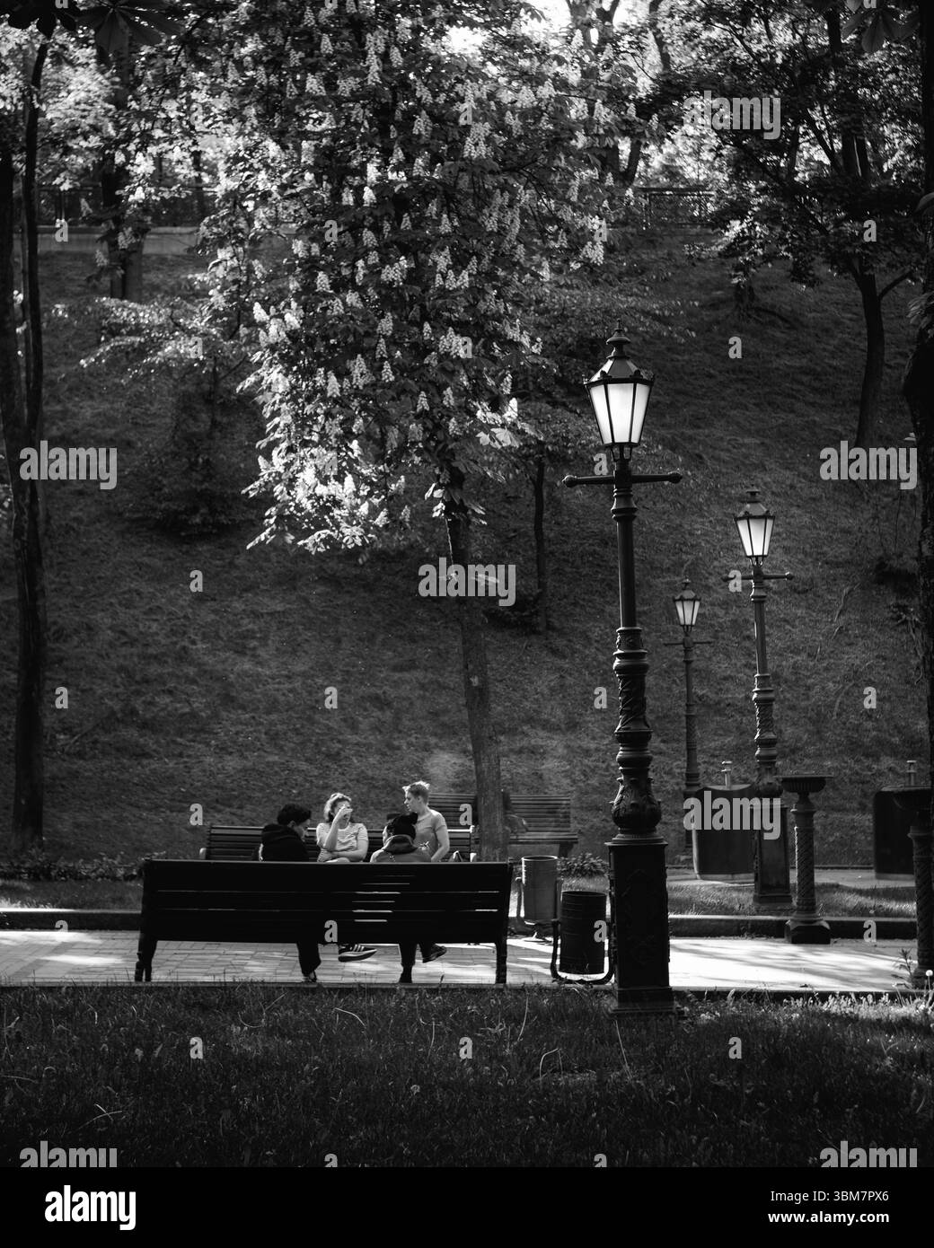 Pathway ambiance Black and White Stock Photos & Images - Alamy