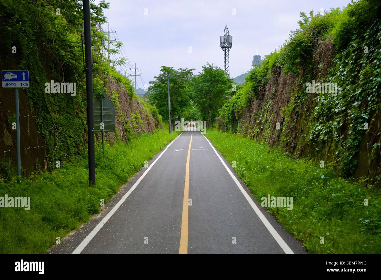 Yangpyeong County, South Korea - May 19th 2025: A paved bike path ...