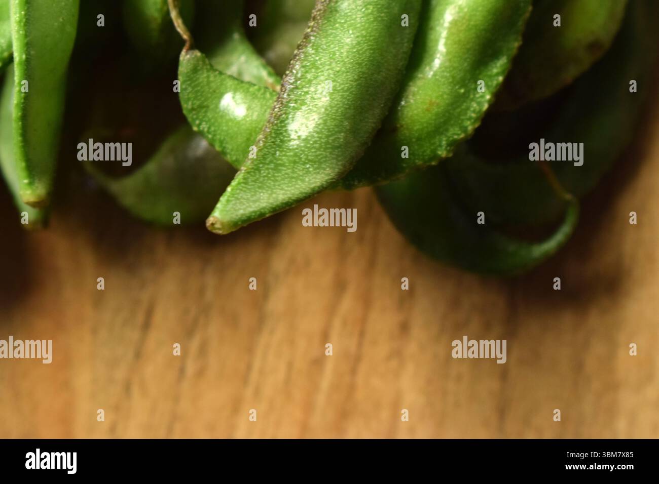 Group Of Hyacinth Bean or Same Ki Phalli Lablab Purpures, Also Known As ...