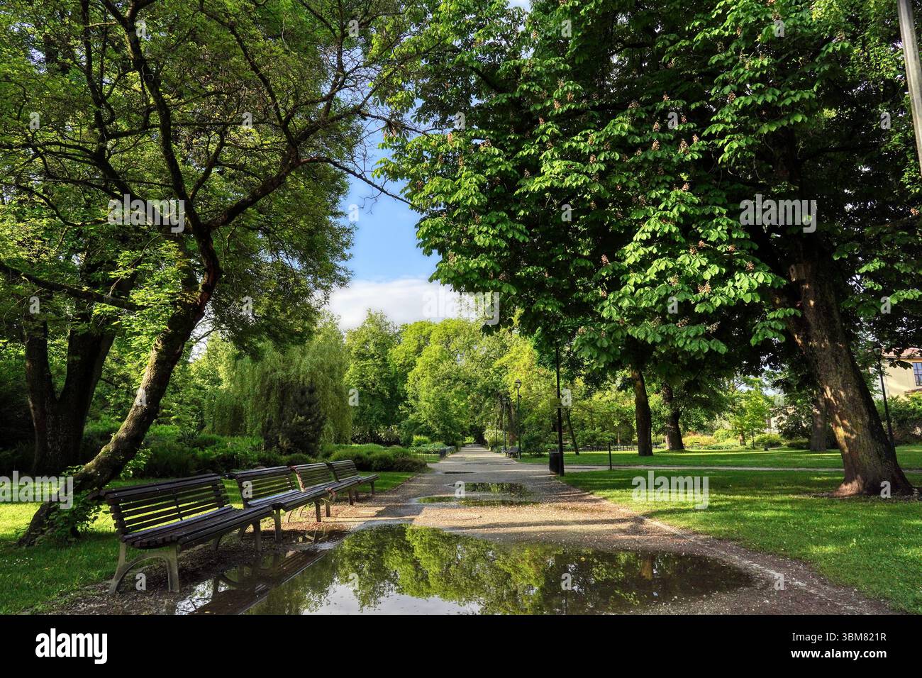 Green park in Vilnius Stock Photo - Alamy